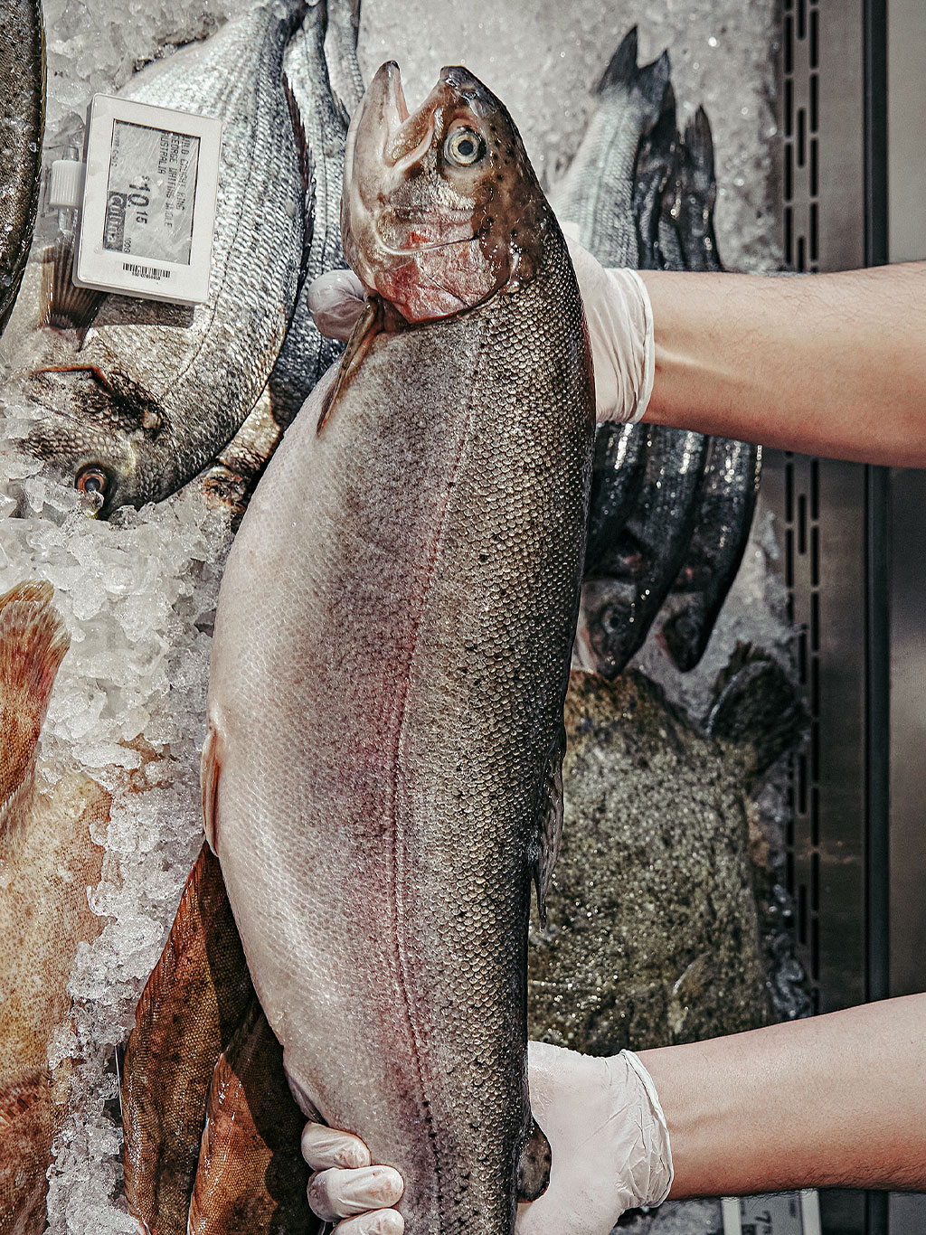 CULINA MARKET | COMO GROUP