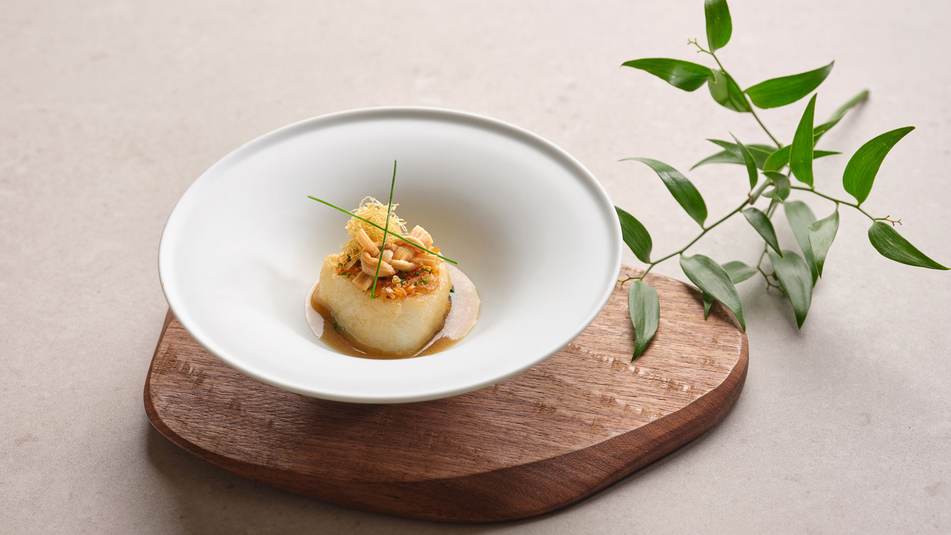 PANGIUM | COMO GROUP